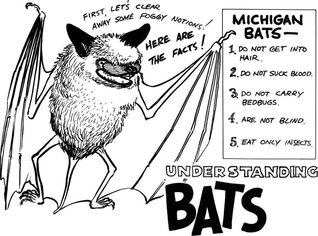 Researchers battle bat disease | News, Sports, Jobs - The Daily News